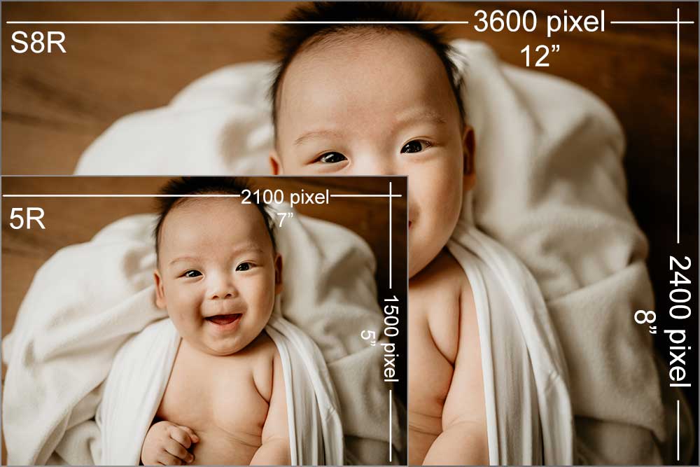 Blog - Oh Dear Studio Photography