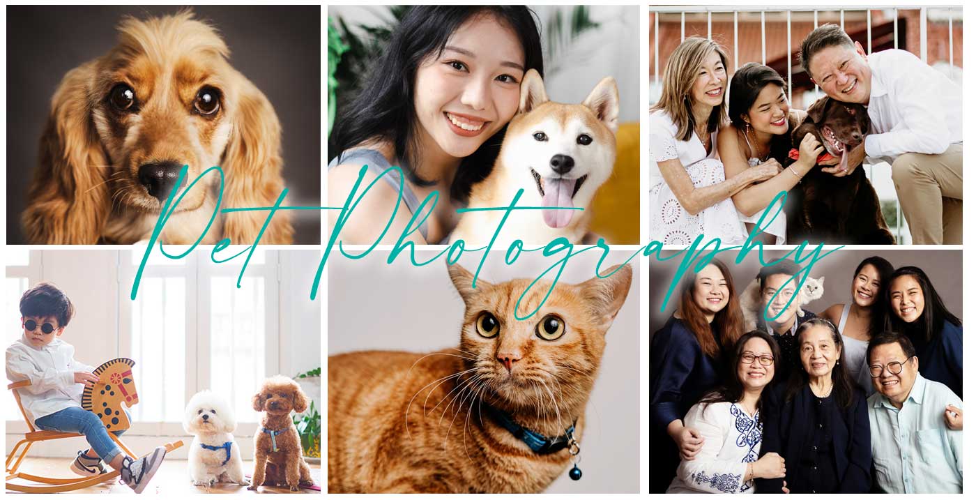 Pet Photography Singapore | Photoshoot with Pets
