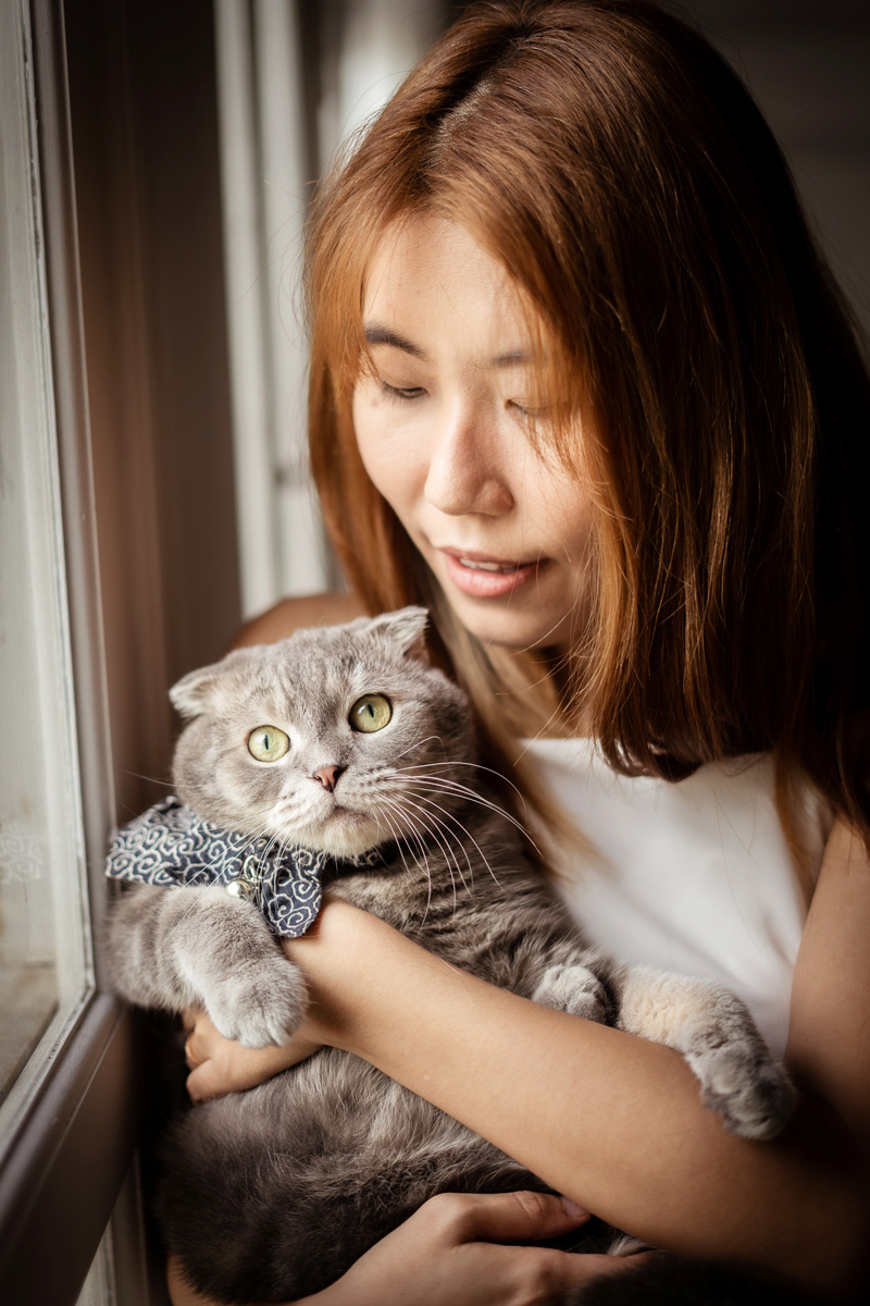 Pet Photography Singapore | Photoshoot with Pets