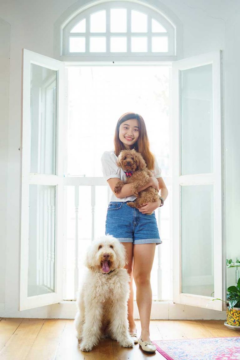 Pet Photography Singapore | Photoshoot with Pets