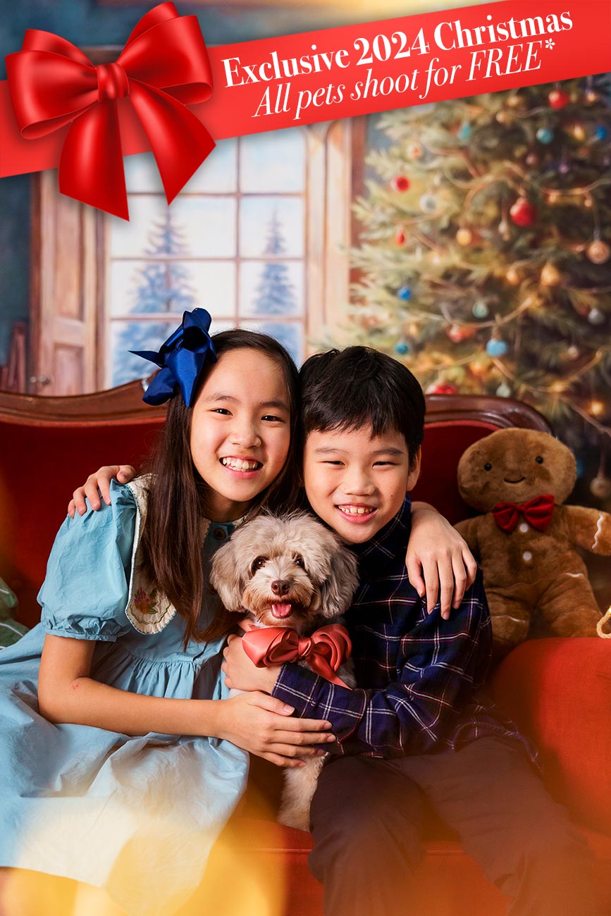 Christmas Photoshoot Studio SG Best Photography Studio 2024
